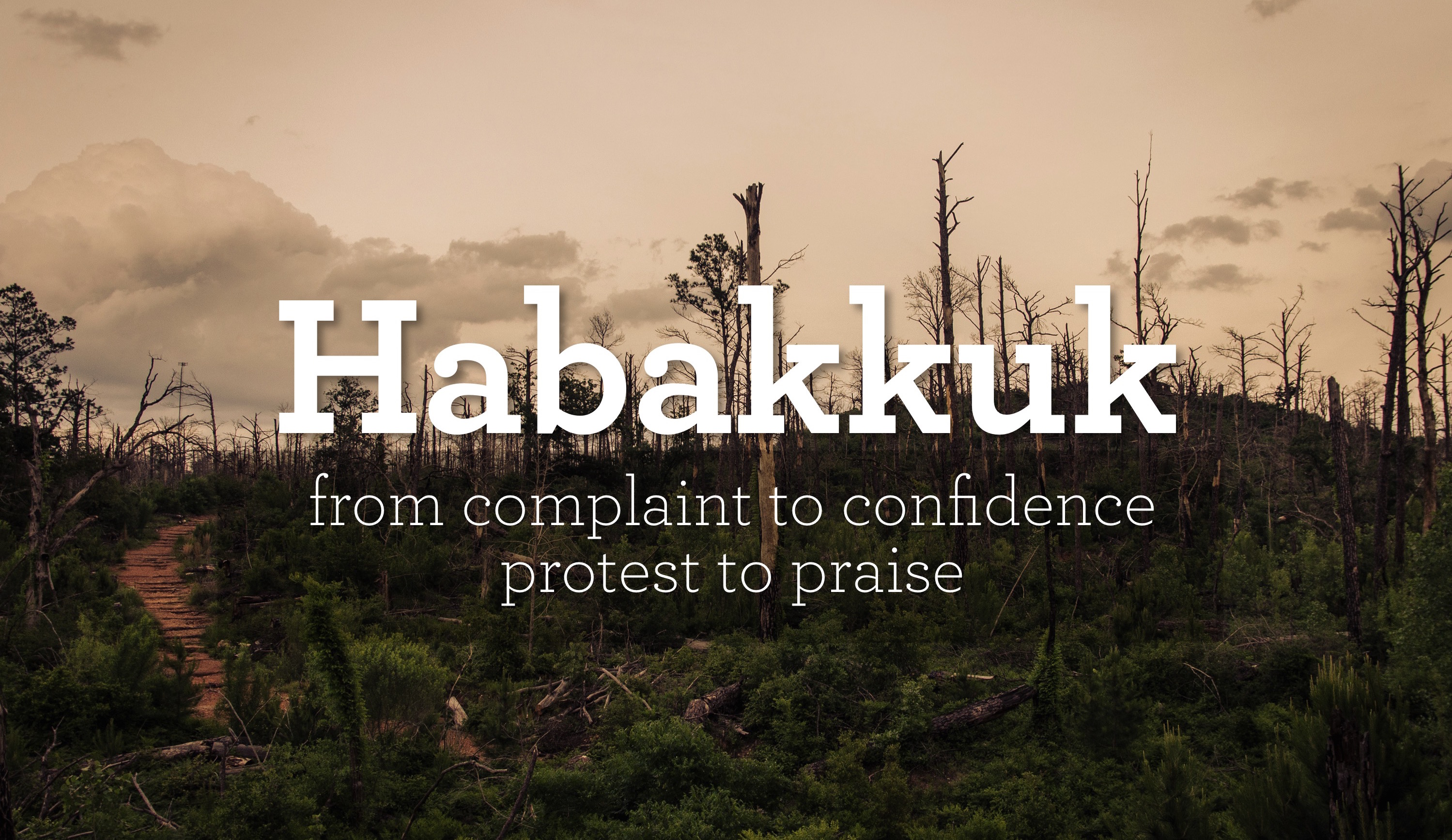 Habakkuk: From Complaint to Confidence; From Protest to Praise – Kirk E ...