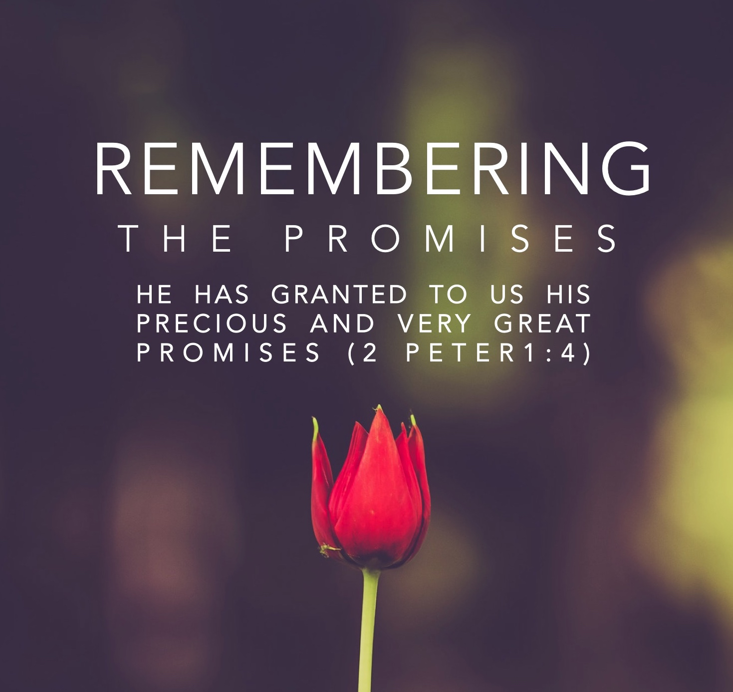 God’s Faithfulness: The Promise-Keeping God – Kirk E. Miller